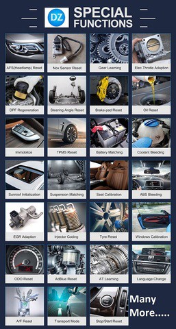 Diagzone Pro Reset Function